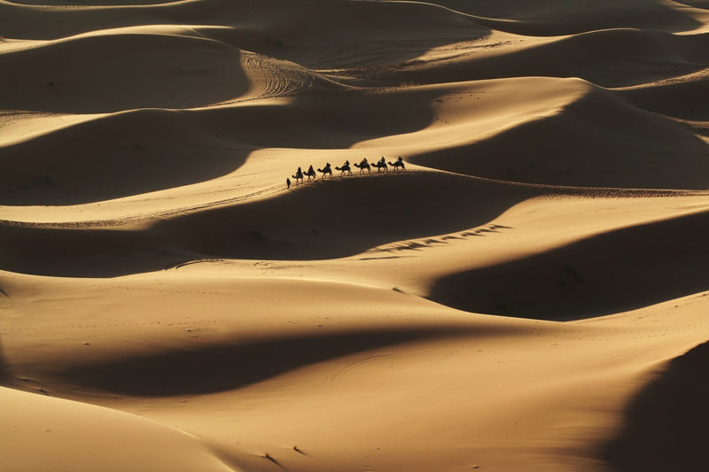 The Devastating Impact of the Sahara's Spread